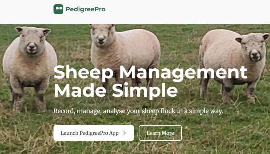 PedigreePro - Sheep Pedigree Management Software